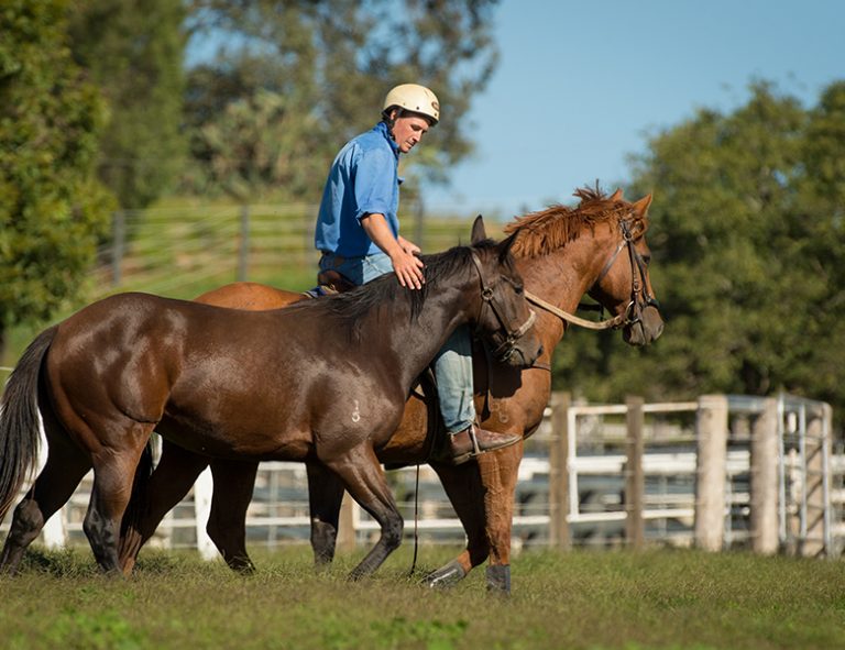 Home - Eureka Stud