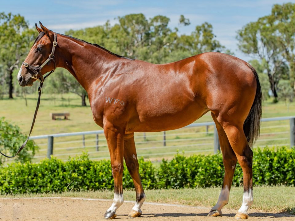 Eureka Stud – Home to Spirit of Boom