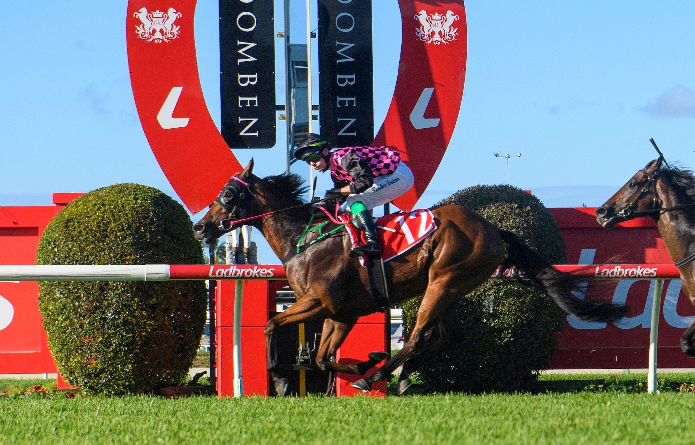 Extremist Stakes Win Breakthrough - Eureka Stud