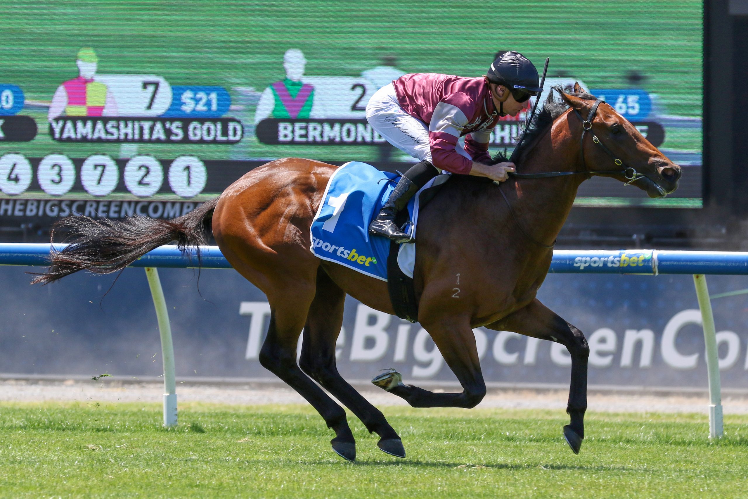 New 2YO Stakes Winner for Spirit Of Boom in Quickfire Double - Eureka Stud