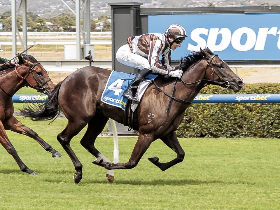 Home - Eureka Stud