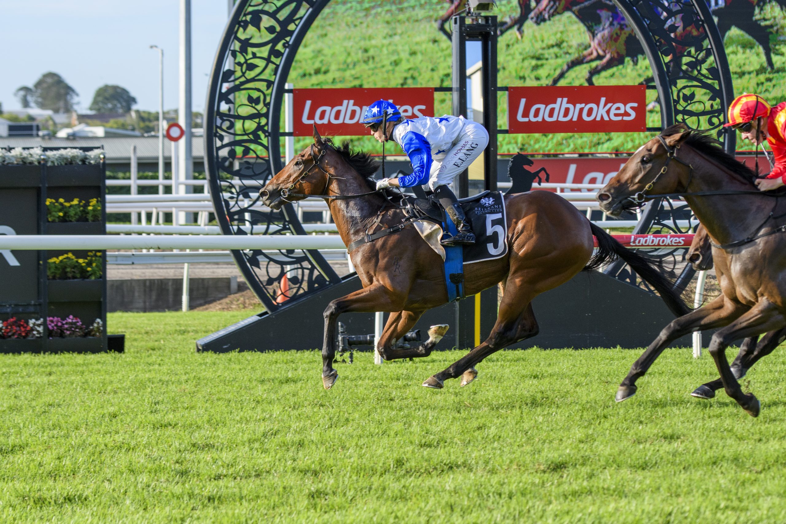 Spirit Of Boom Brings Up 30th Stakes Winner - Eureka Stud